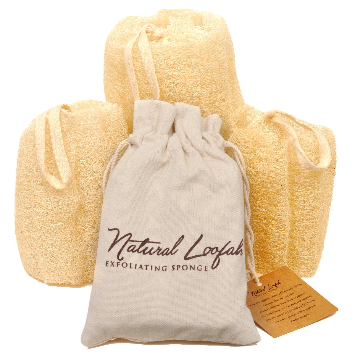 Egyptian Natural Loofah – CraftsOfEgypt